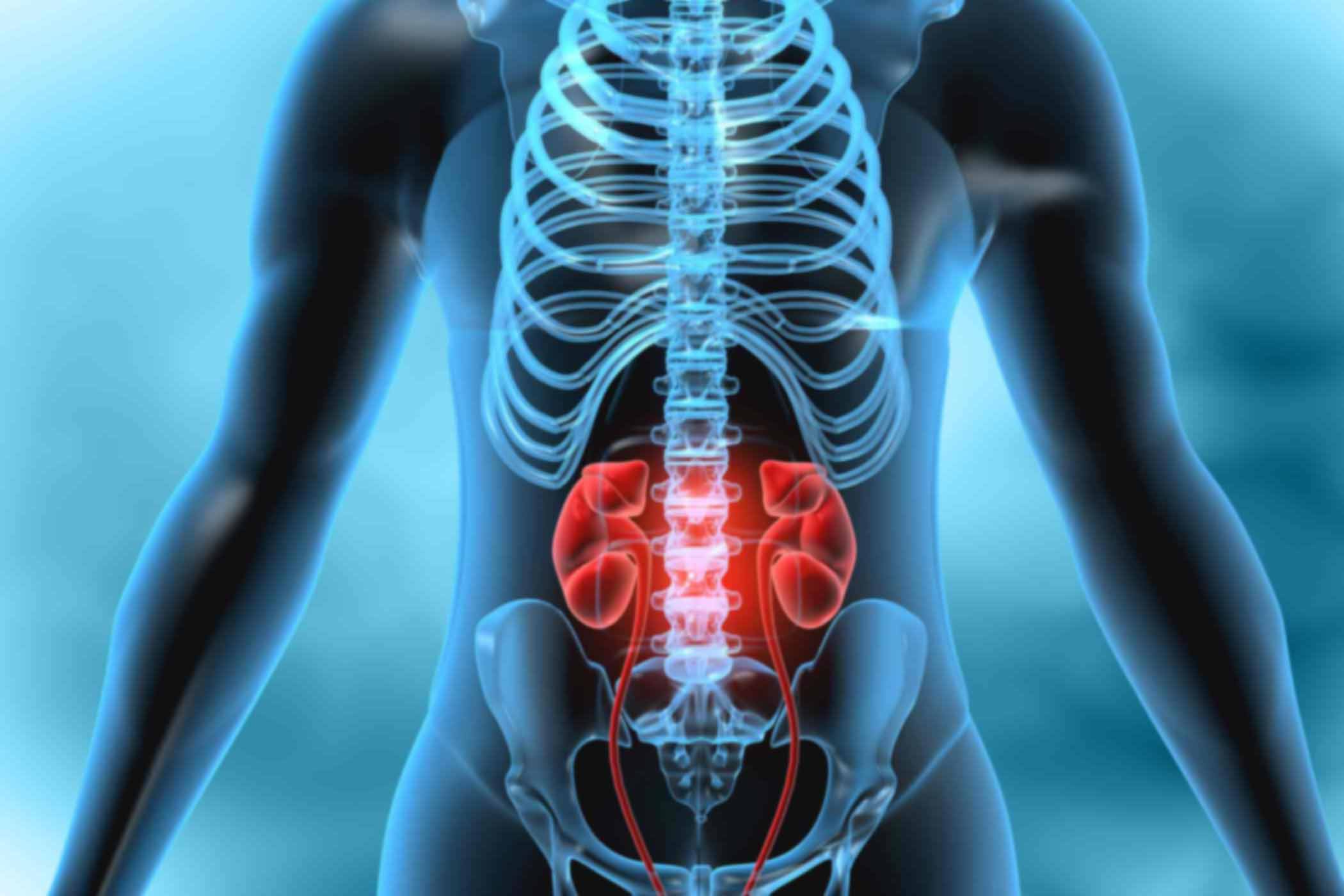 Focused Renal and Urinary Assessment - RN.com
